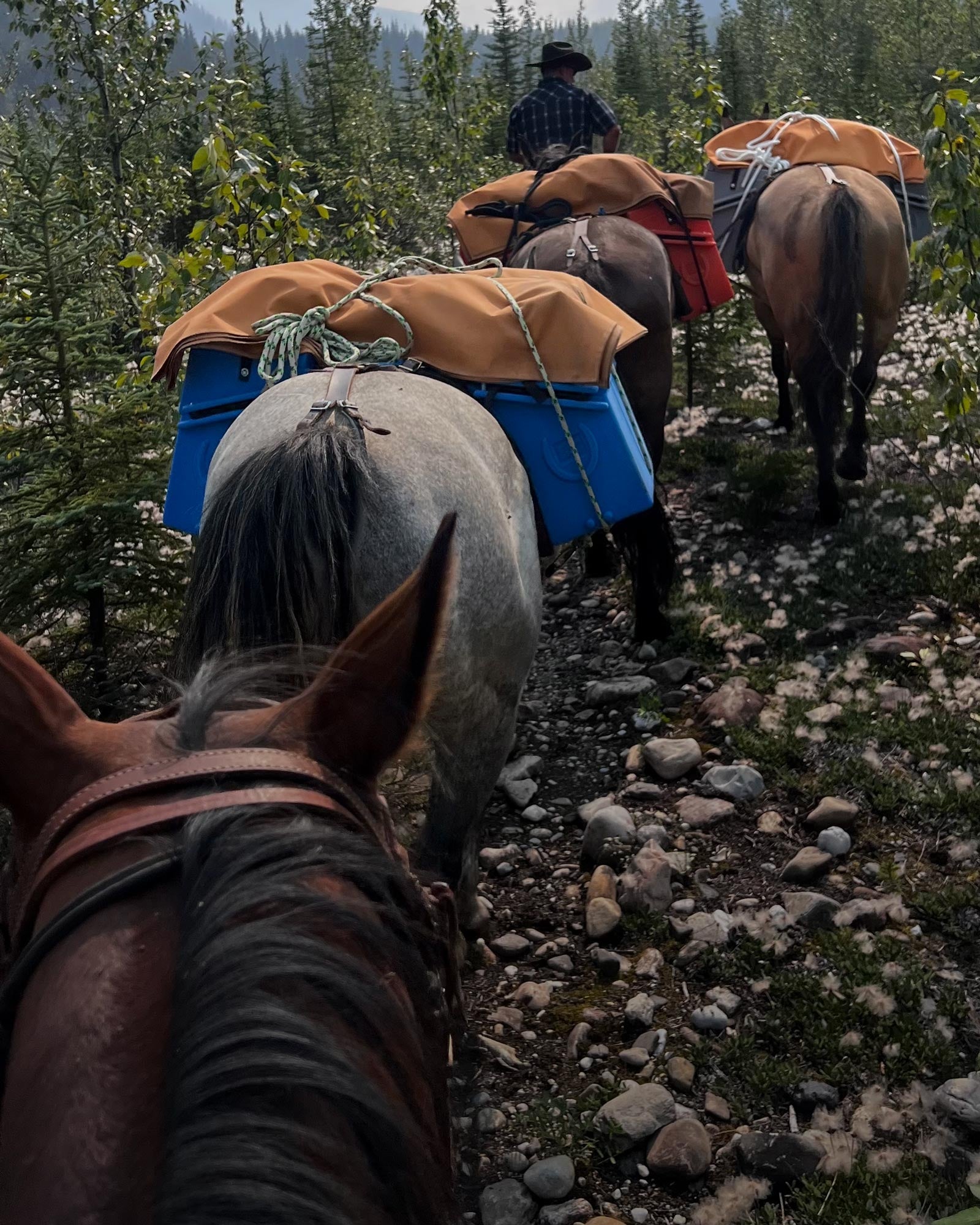 Pack Accessories – Custom Pack Rigging